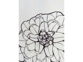 Realistic contour line drawings | PPT