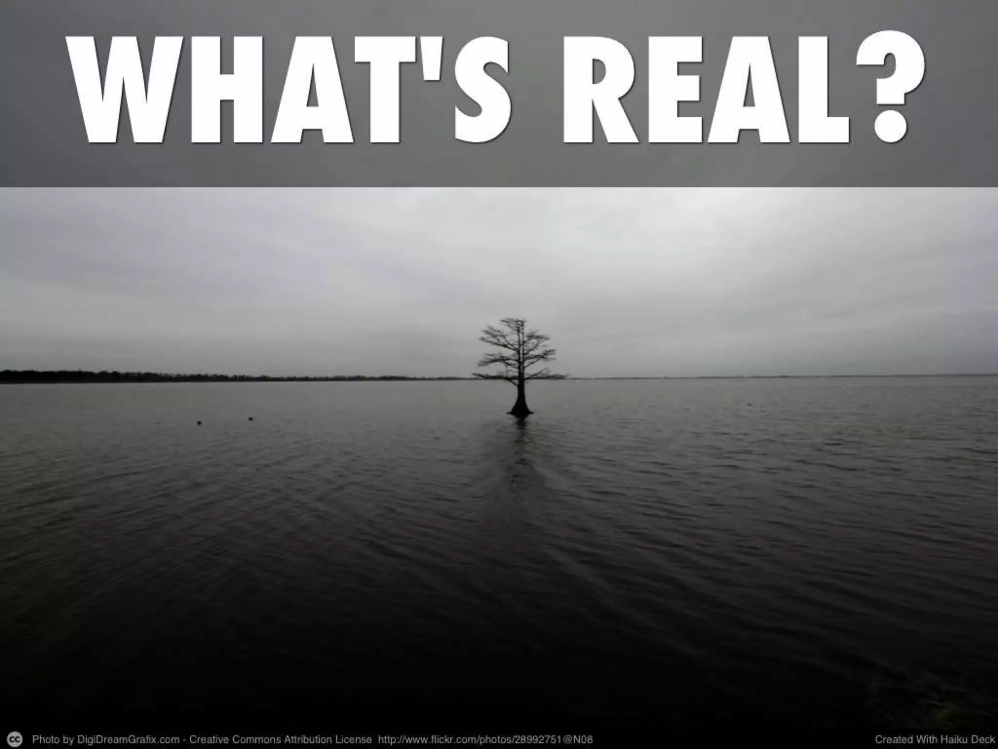 Reality Bites: Defining What's Under the Surface | PPTX