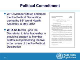 Realizing the Rio Political Declaration: Progress in Addressing the ...