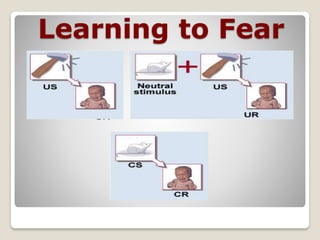 Real Life Conditioning.pdf