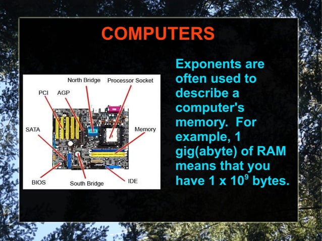 Exponents in Real Life | PDF