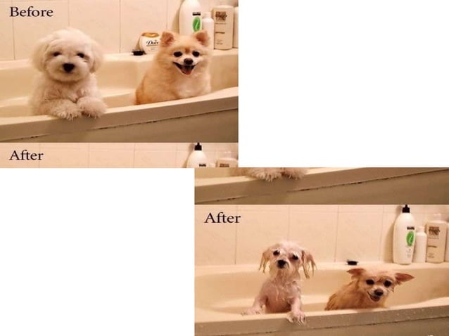 Really Bad PowerPoint | PPT | Business | Business and Finance