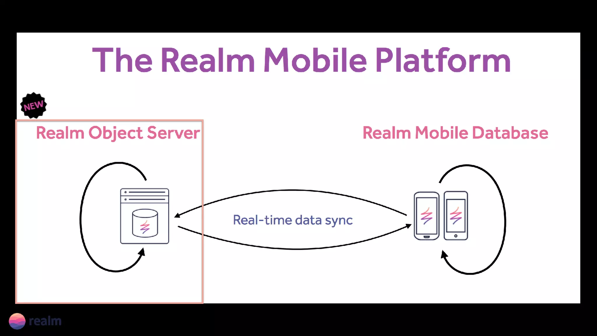 Anatomy of Realm | PPT