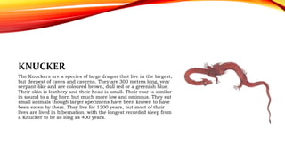 Realm of Dragons concept.pptx