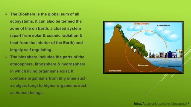Realms of the earth | PPTX | Geography | Science