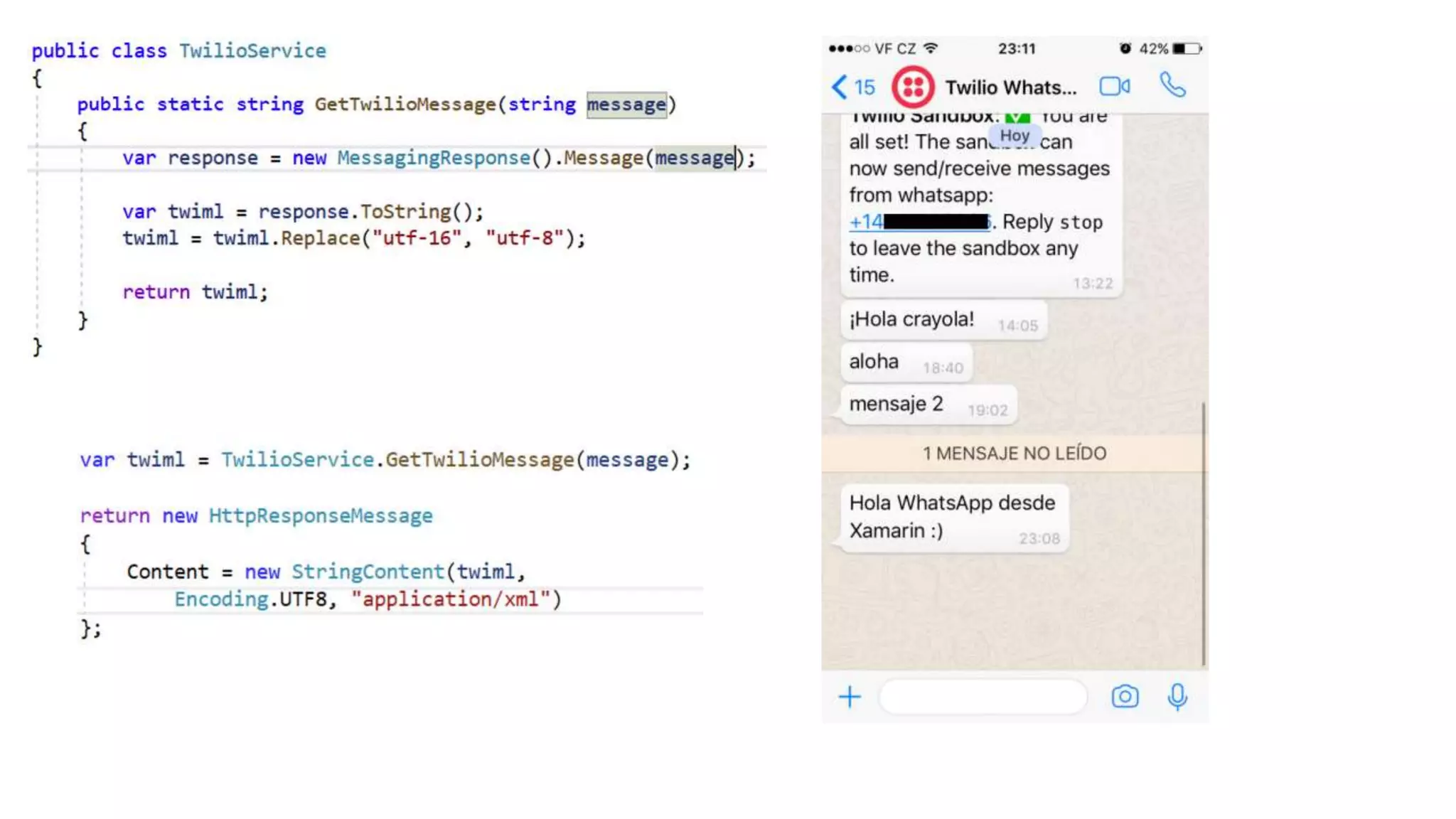 Real NET Docs Show - Serverless Machine Learning v3.pptx | Cloud Computing | Internet