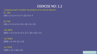 Real numbers ppt by jk | PPT | Free Download