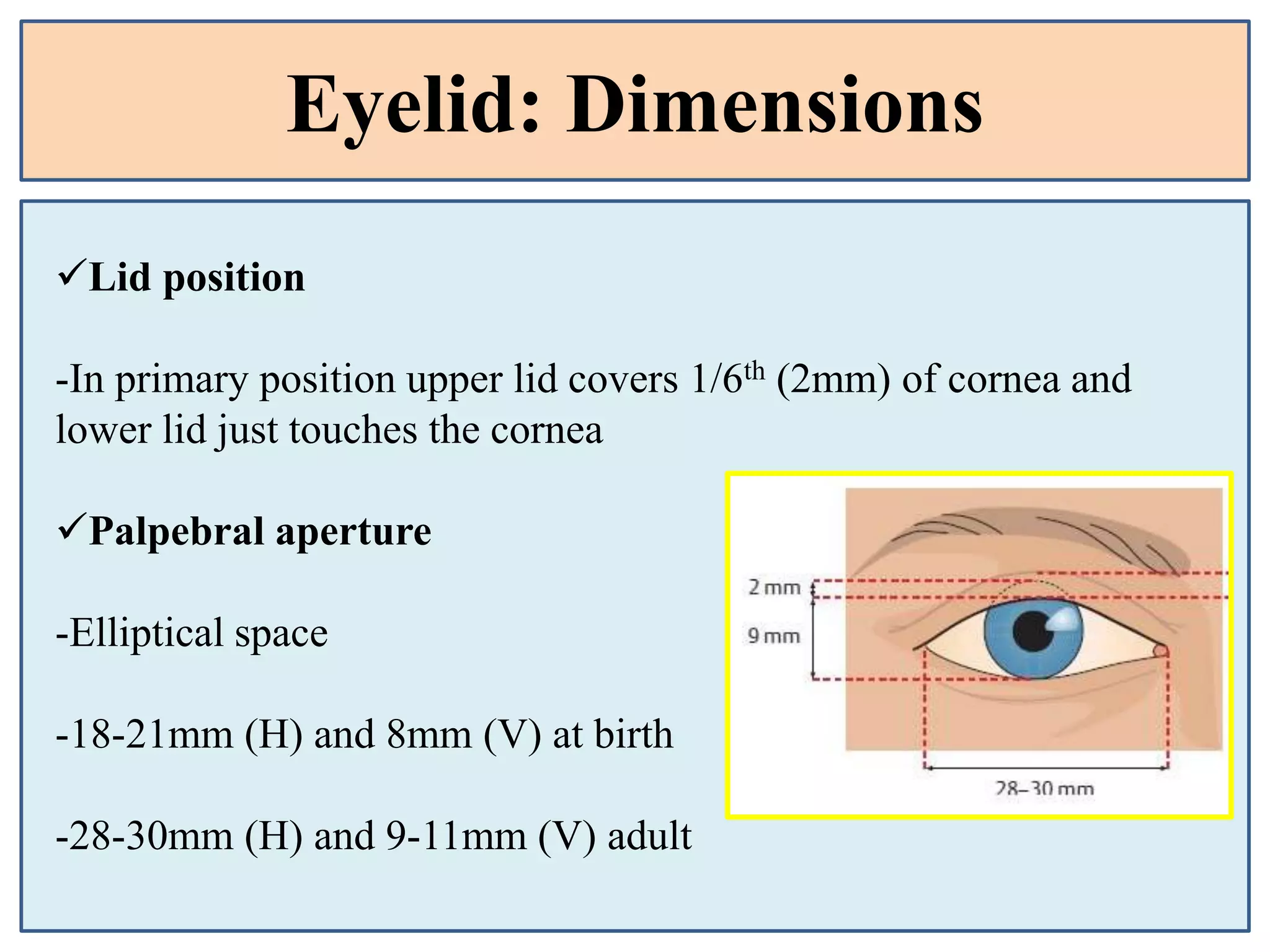 Real ptosis evaluation.pptx