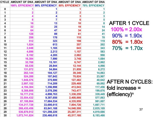 realtime pcr for first year faculty .ppt