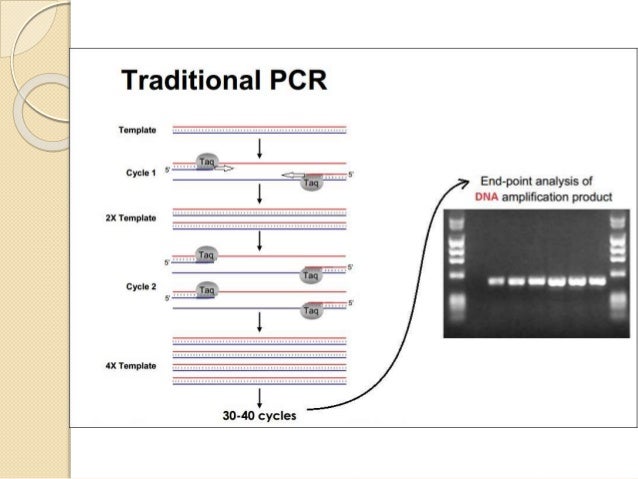 real time-PCR..