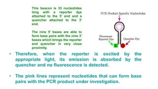 Real Time PCR | PPTX