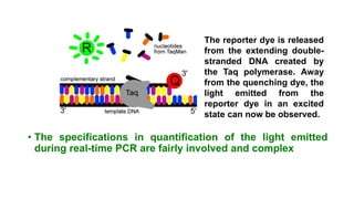 Real Time PCR | PPTX