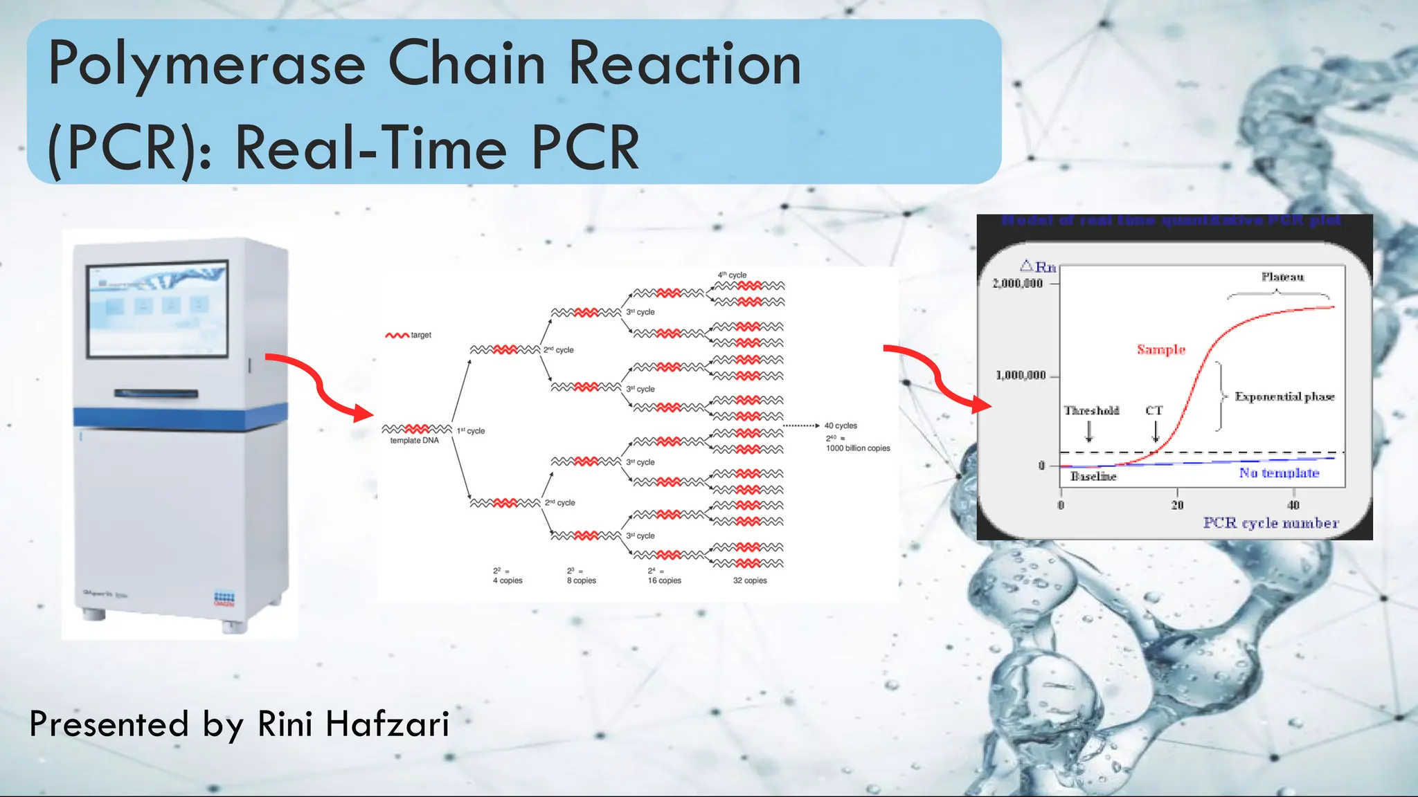 Artikel ilmiah mengenai realtime-PCR-rev1.pdf