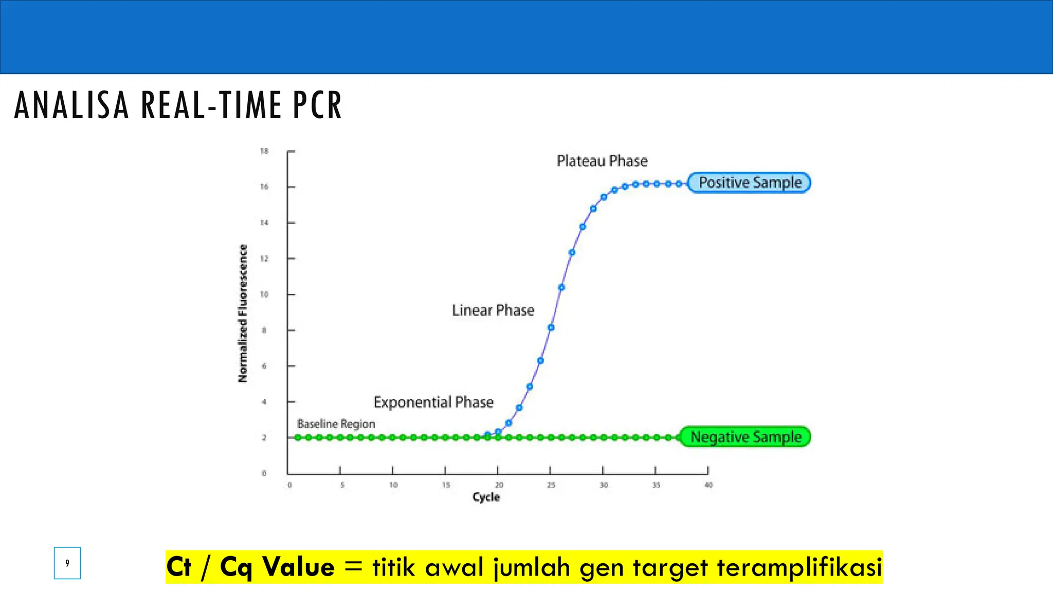 Artikel ilmiah mengenai realtime-PCR-rev1.pdf