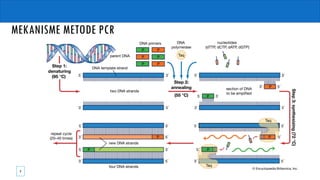 Artikel ilmiah mengenai realtime-PCR-rev1.pdf