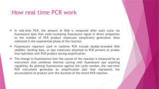 real time 2.pptx the second part of real time pcr | PPTX
