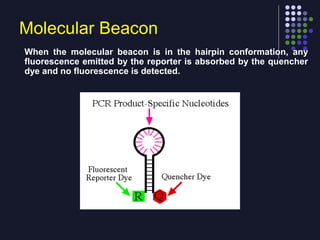 Real-Time PCR | PPT