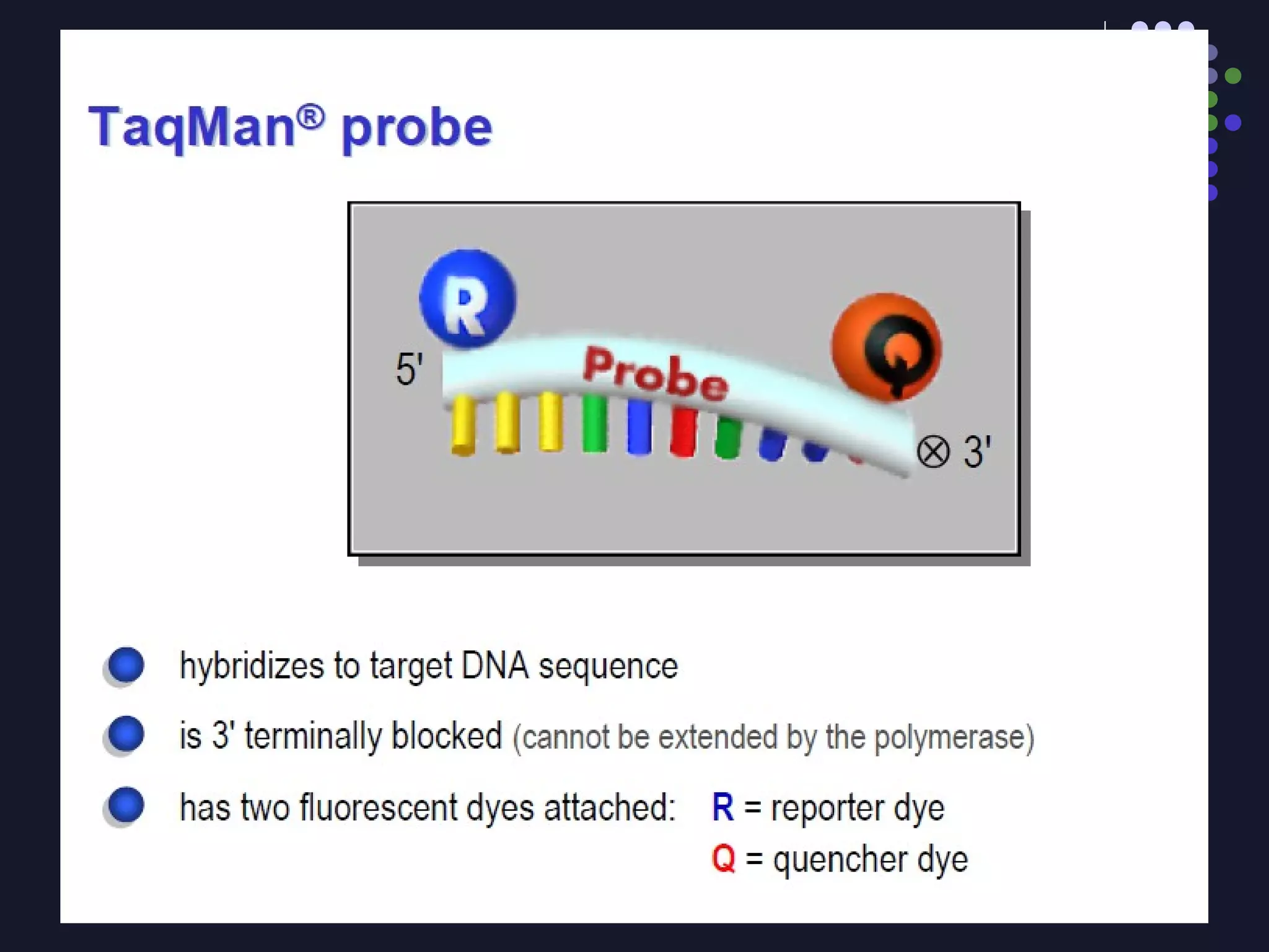 Real time pcr | PPT