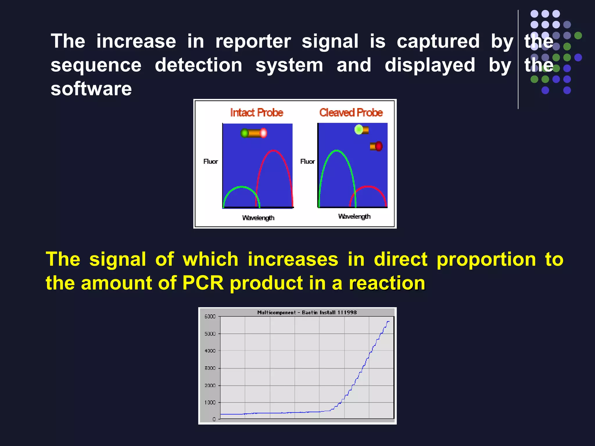 Real time pcr | PPT