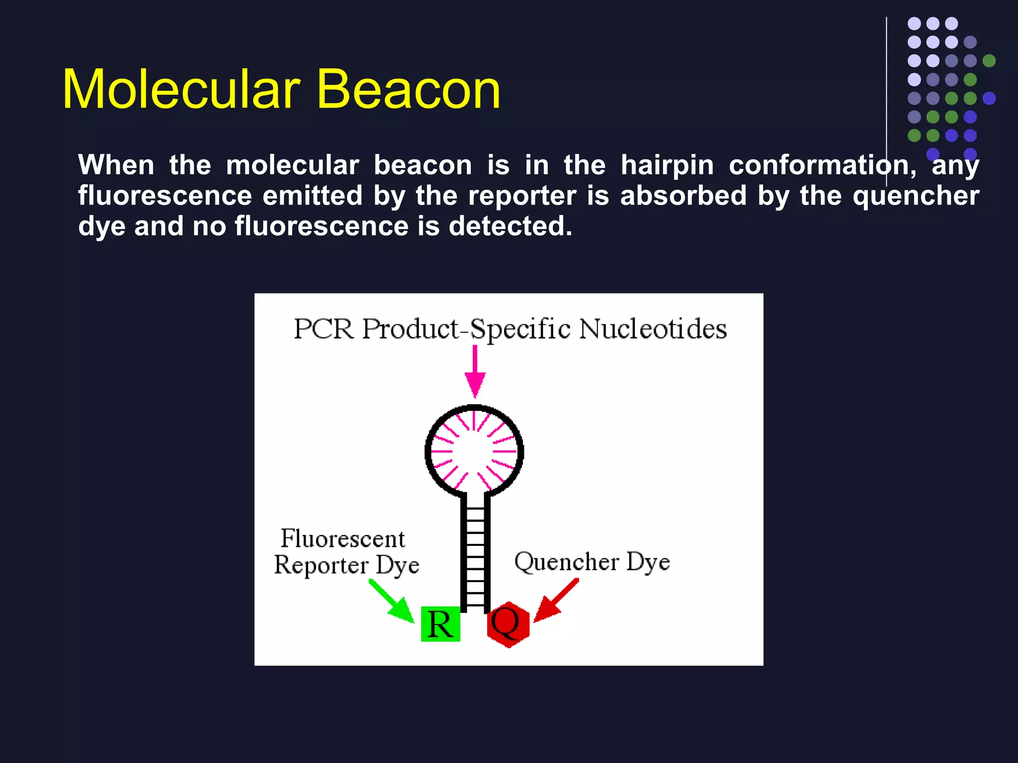 Real time pcr | PPT