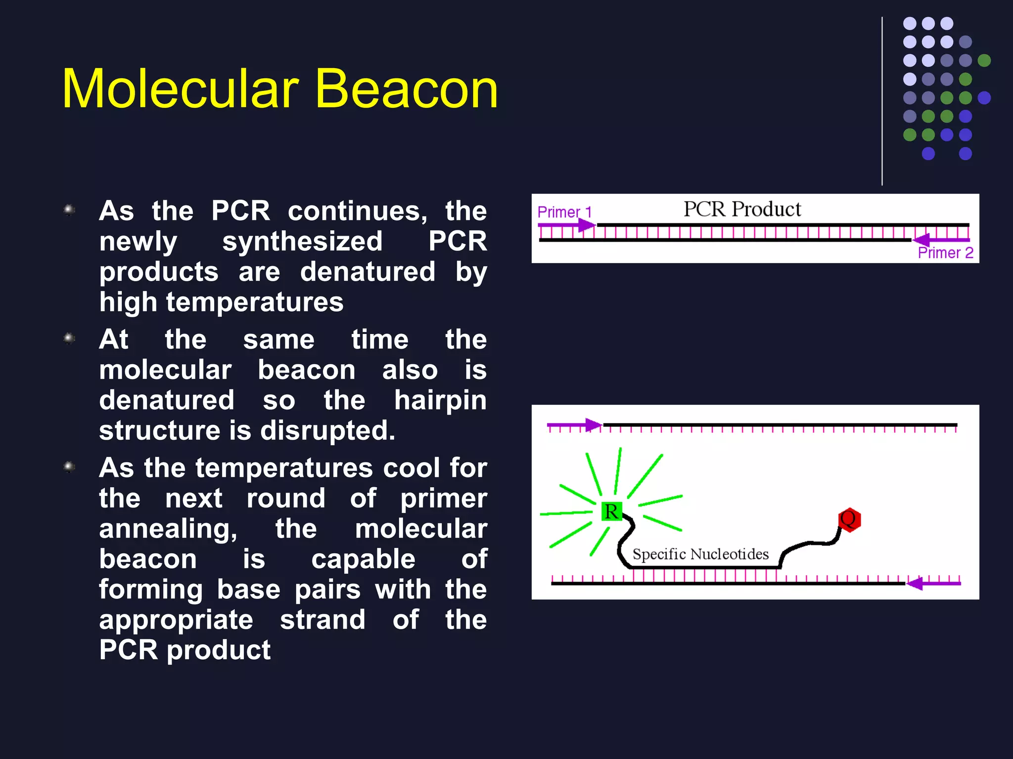 Real time pcr | PPT