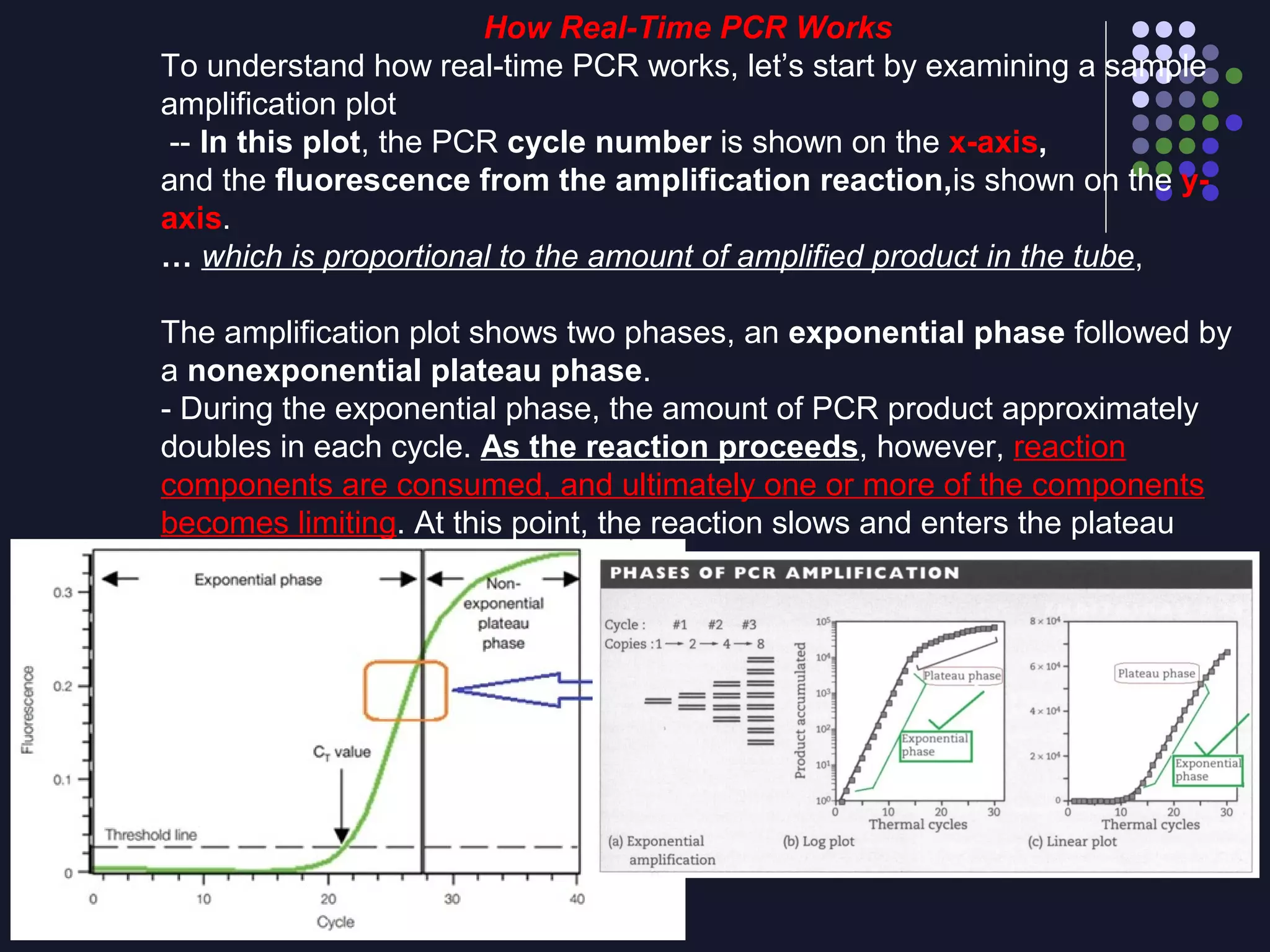 Real time pcr | PPT