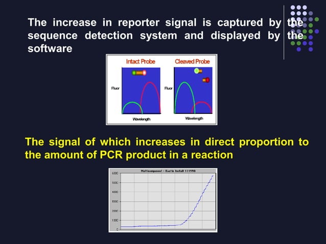 Real time pcr | PPT