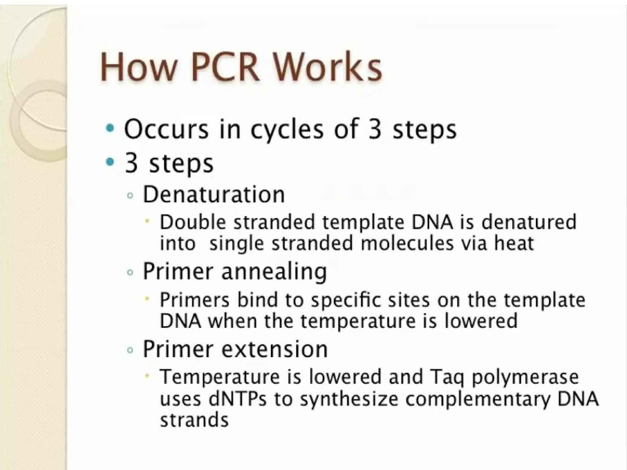 Real time pcr | PPT