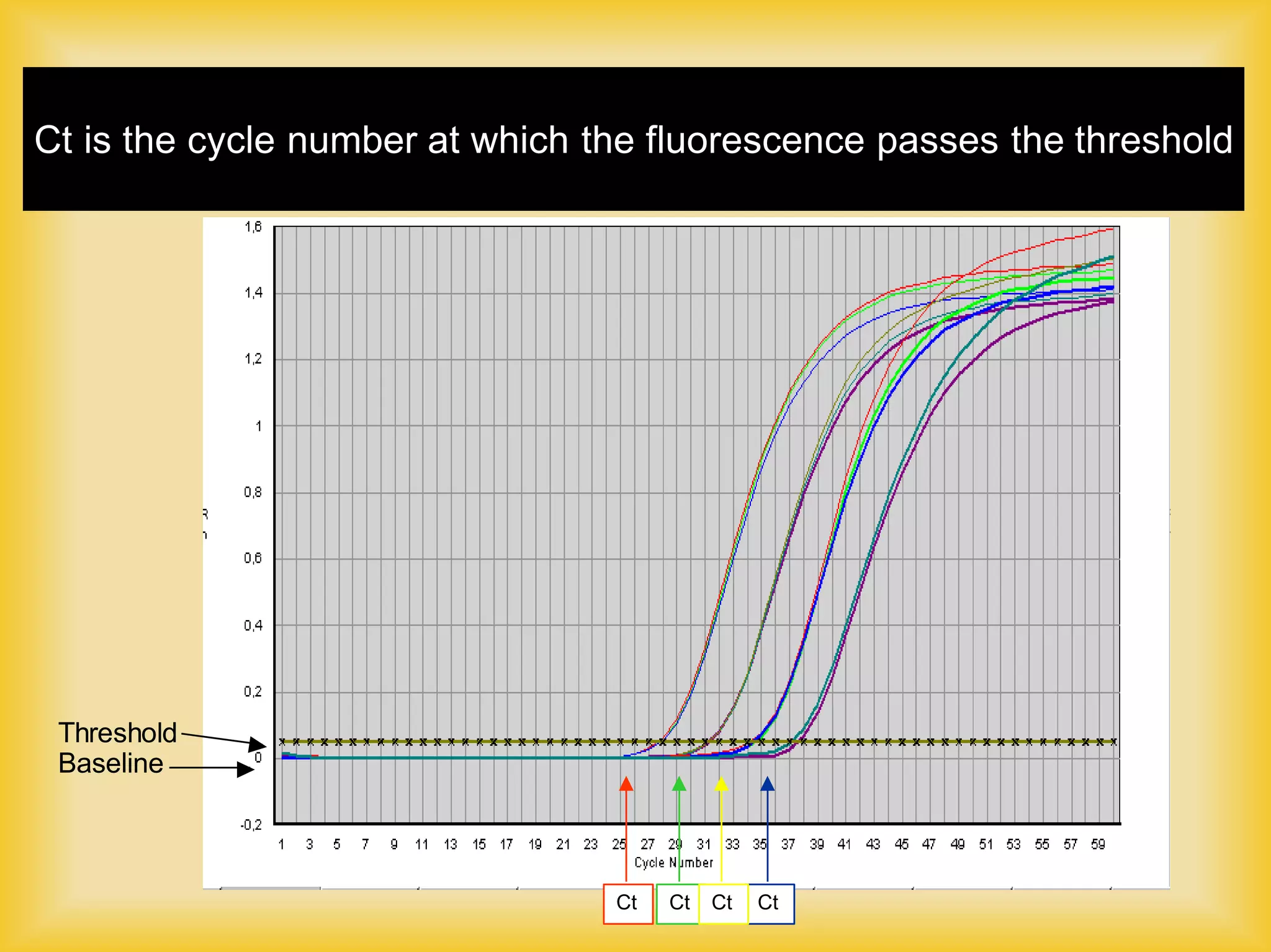 qRT PCR | PPTX