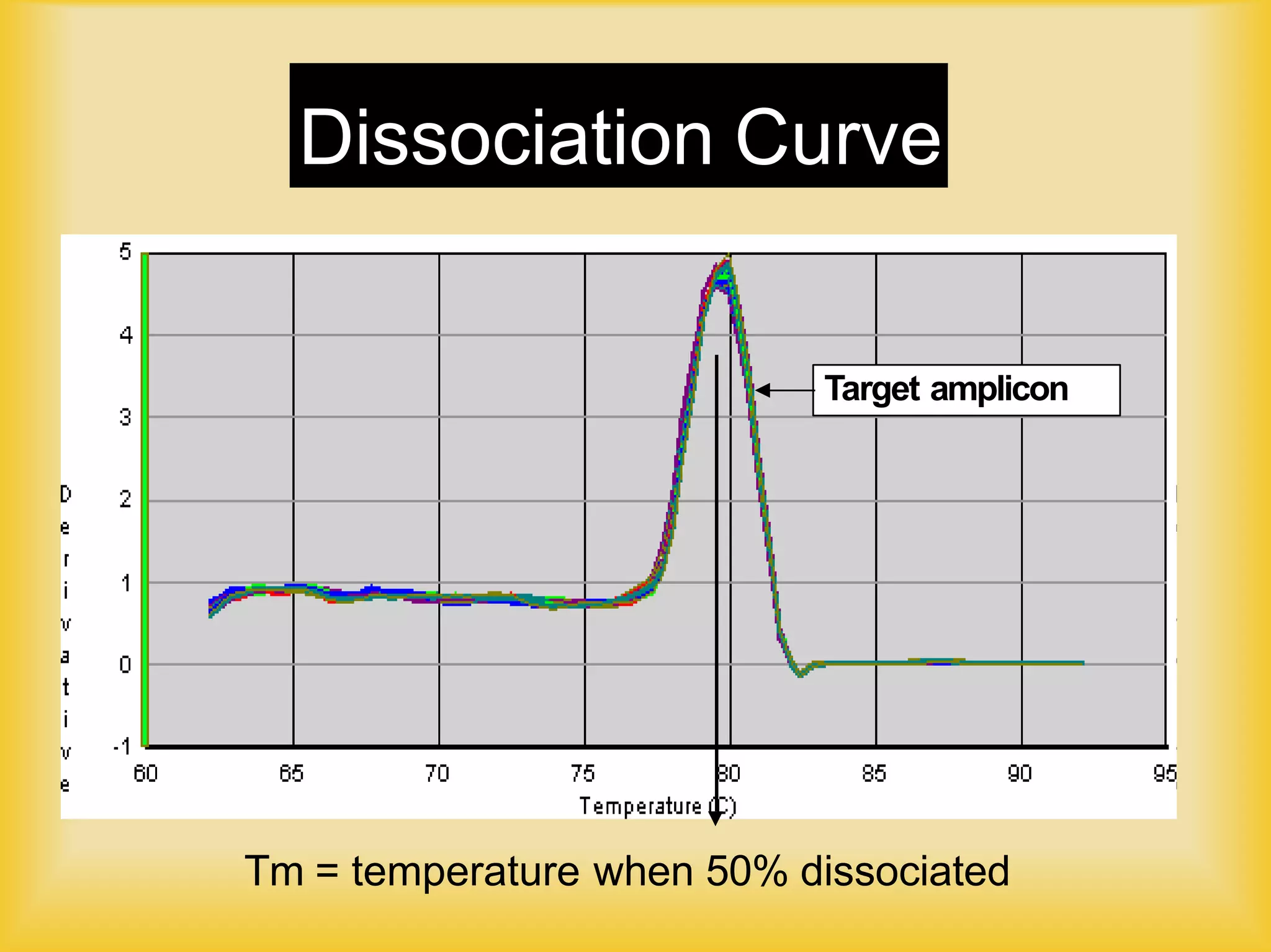 qRT PCR | PPTX