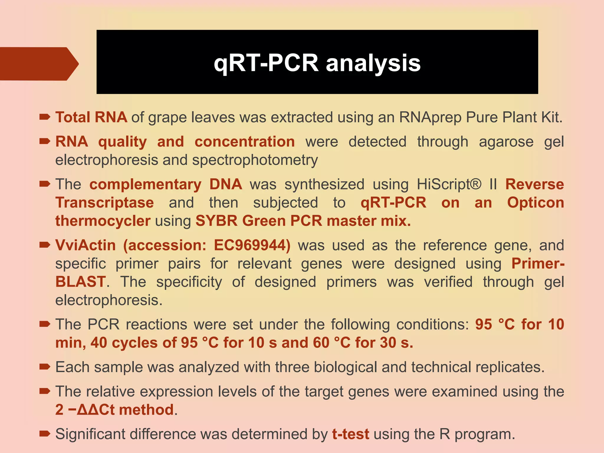 qRT PCR | PPTX