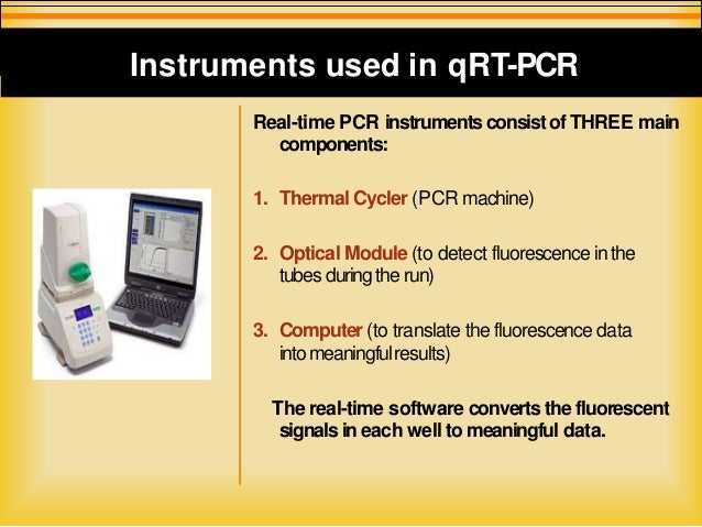qRT PCR