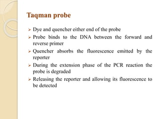 Real-time PCR | PPTX