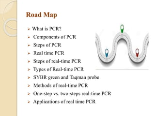 Real-time PCR | PPTX