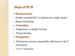 Real-time PCR | PPTX