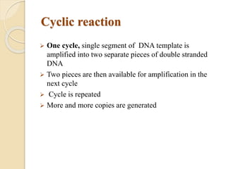 Real-time PCR | PPTX