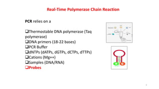 Real-Time PCR | PPT