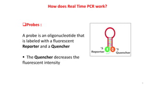 Real-Time PCR | PPT