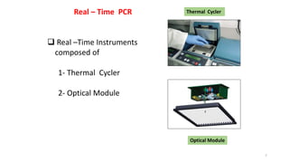 Real-Time PCR | PPT