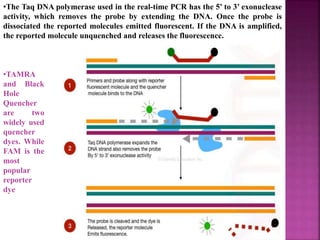 Real time pcr | PPTX