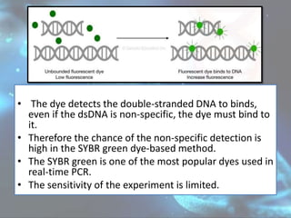 Real time pcr | PPTX