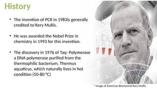"Comprehensive RT-PCR Analysis for the Detection and Quantification of ...