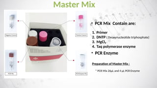"Comprehensive RT-PCR Analysis for the Detection and Quantification of ...