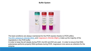 real time pcr.pdf...............,........ | PPT