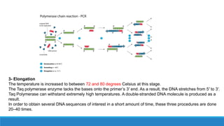 real time pcr.pdf...............,........ | PPT