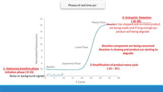 real time pcr.pdf...............,........ | PPT