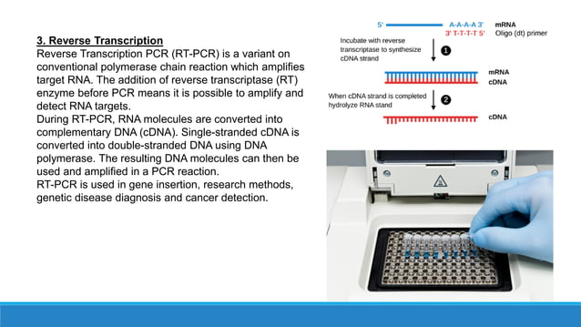 real time pcr.pdf...............,........ | PPT