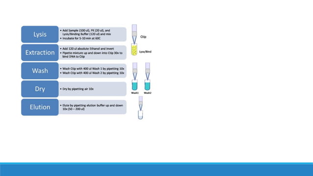 real time pcr.pdf...............,........ | PPT