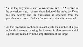Real time PCR.pptx