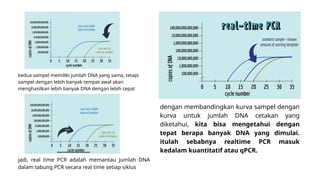 REAL TIME PCR- KELOMPOK (BIOTEKNOLOGI).pptx